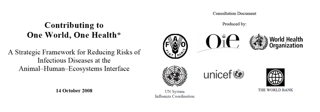 LOS “DOCE PRINCIPIOS DE MANHATTAN” – One Health In