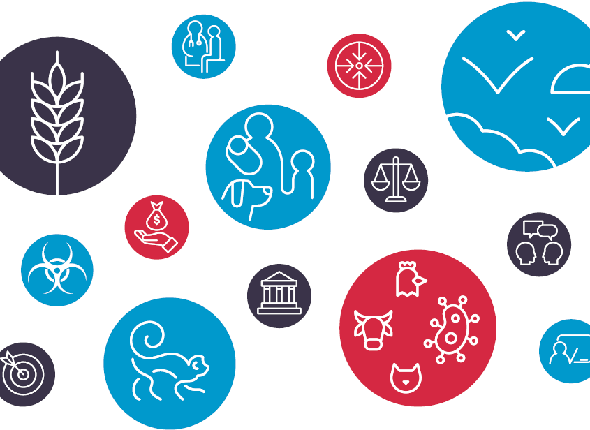 TAKING A MULTISECTORAL, ONE HEALTH APPROACH. A TRIPARTITE GUIDE TO ...